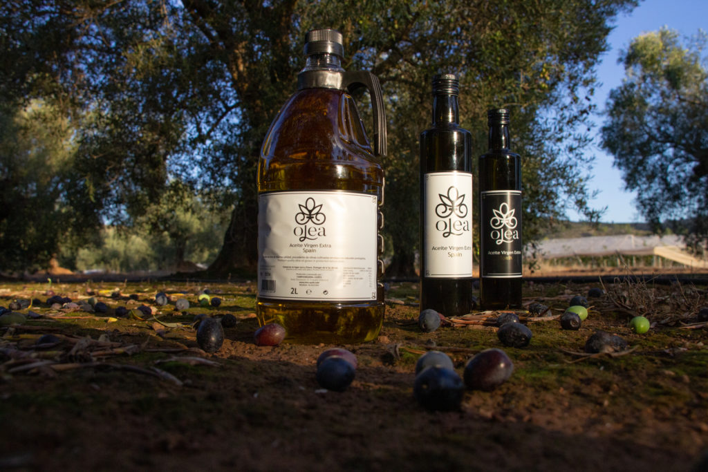 HOME - Olea-Spain