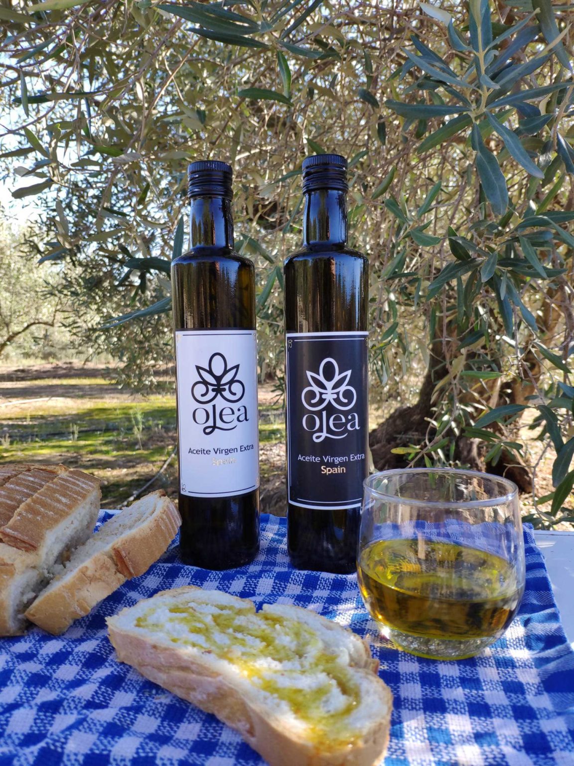 olea spain - olivenöl aus Spanien - HOME - Olea-Spain